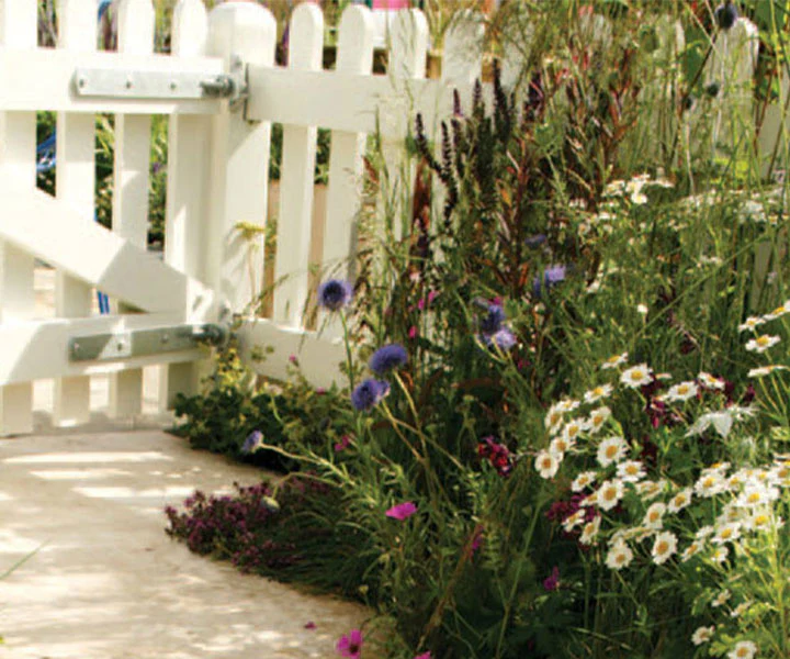Plants and Paving Harmonious Integration | Global Stone